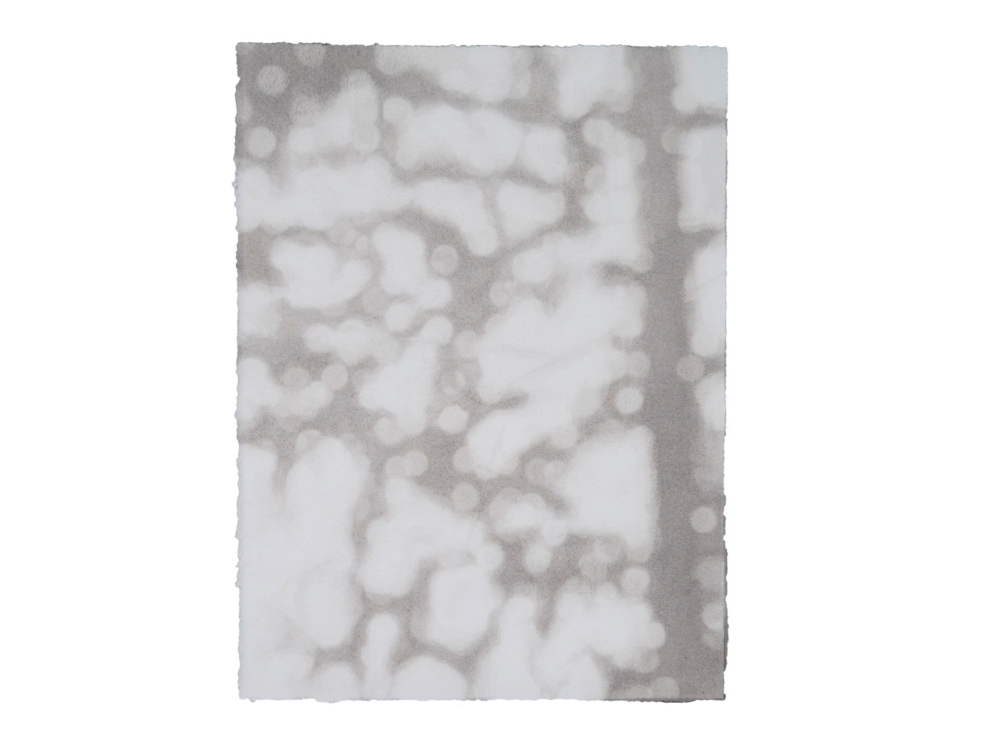 Komorebi - Branches - Luxembourg Art Week