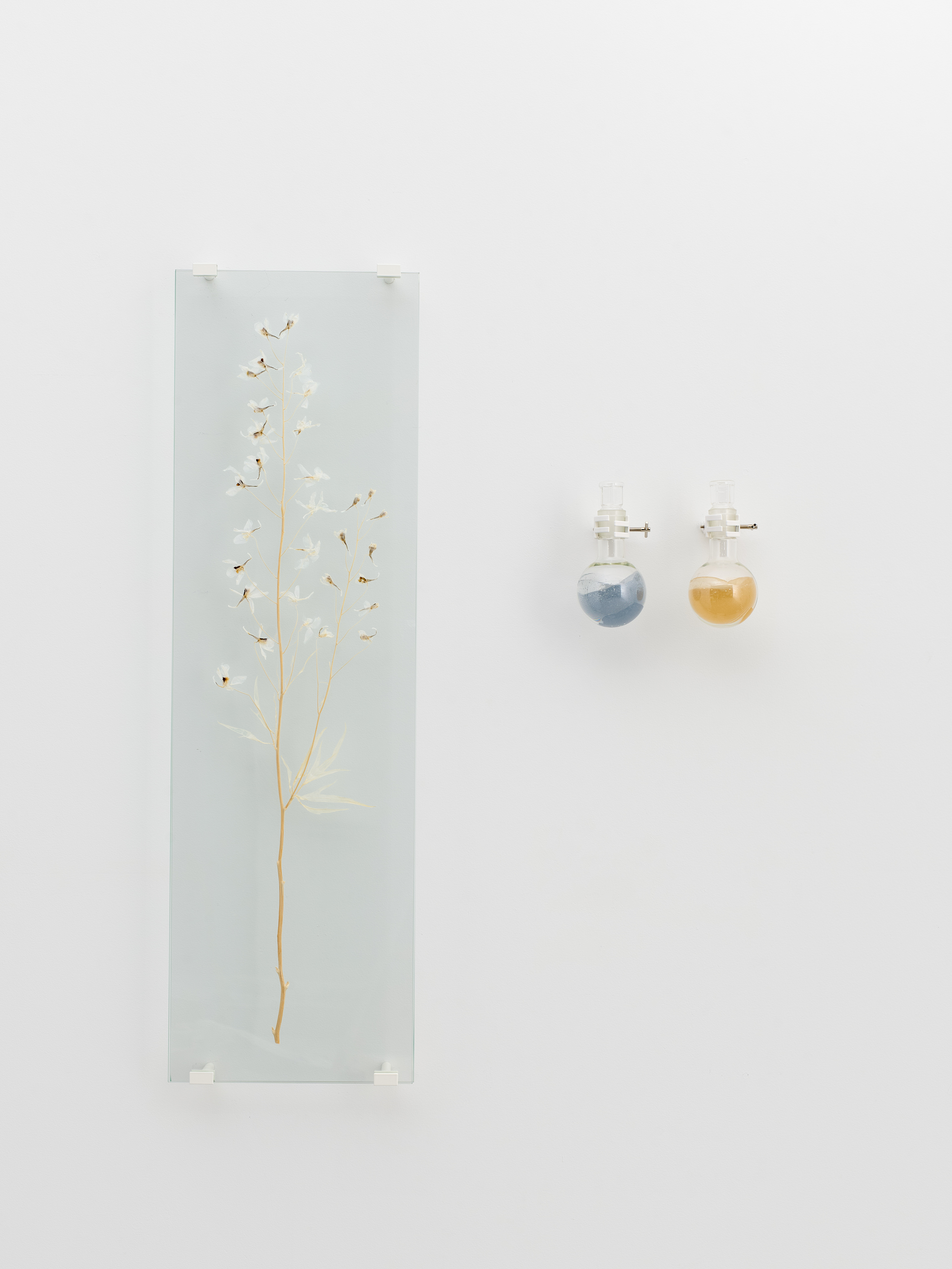 Elsa Salonen, the Heavenly Wooded Area - Luxembourg Art Week